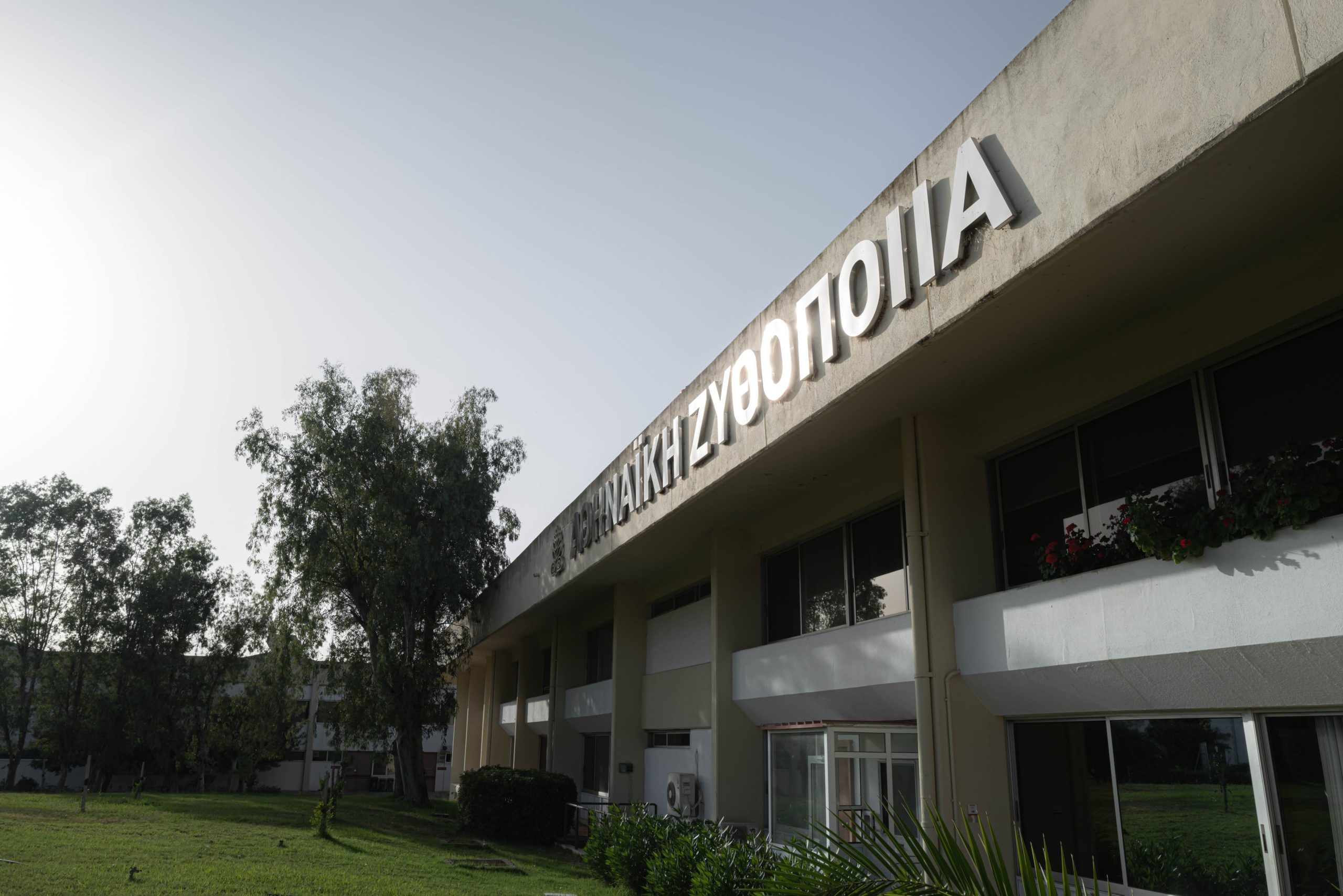 Αθηναϊκη Ζυθοποιια ΑΕ - Πατρα - Ένωση Ελλήνων Ζυθοποιίων